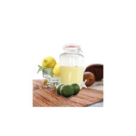 Recipient 8L cu robinet pentru limonada FIH099 - Deco-in