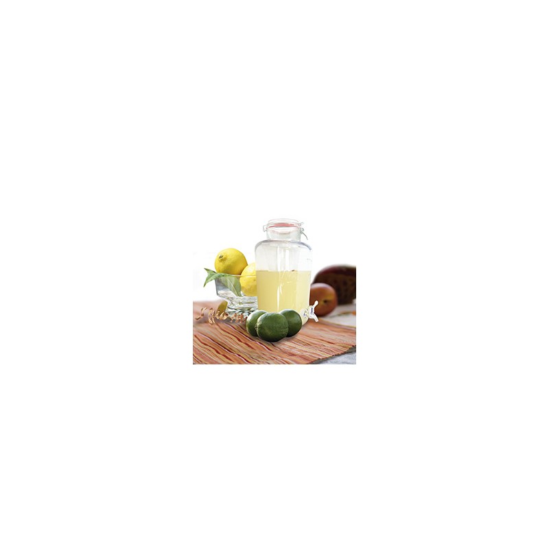 Recipient 8L cu robinet pentru limonada FIH099 - Deco-in